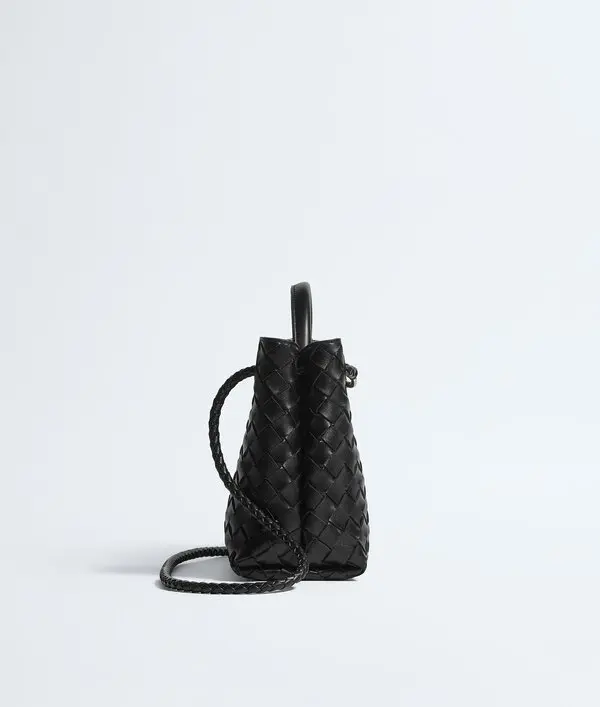 Bottega Veneta Small Andiamo - Black