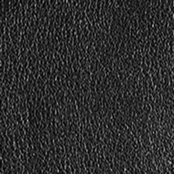 Balenciaga Leather Rodeo Wallet