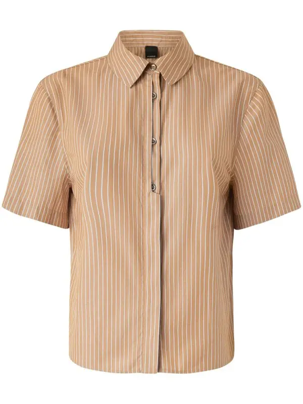 Pinko Striped Shirt - Brown