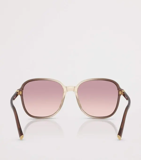 Miu Miu Acetate Oversized Sunglasses - Brown
