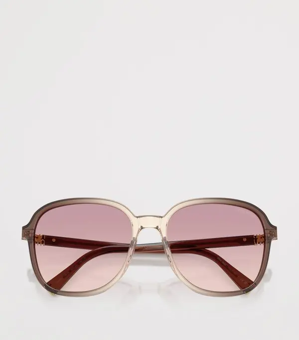 Miu Miu Acetate Oversized Sunglasses - Brown