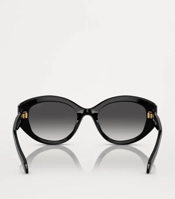 SWAROVSKI Oval Sk6005 Sunglasses - Black