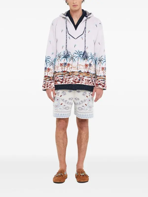 Alanui The Tale Of Hawaiian Hoodie