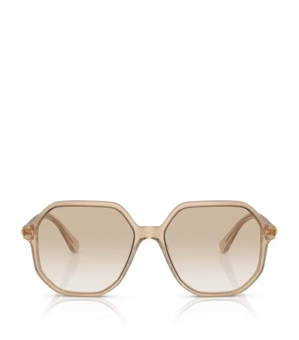 SWAROVSKI Oversized Sk6003 Sunglasses - Brown