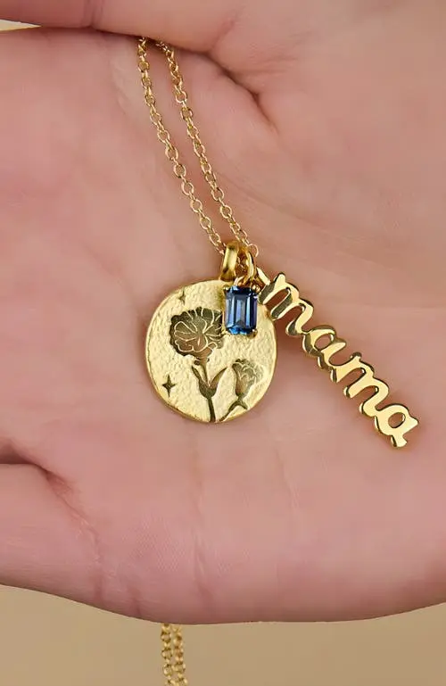 LITTLE SKY STONE Mama Charm Necklace