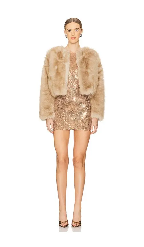 Superdown Ilona Mini Dress