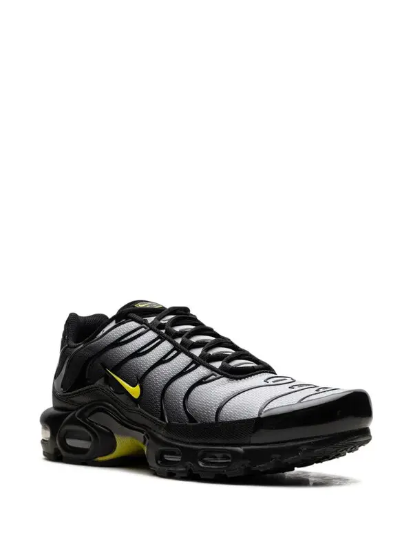 Nike Max Plus Sneakers