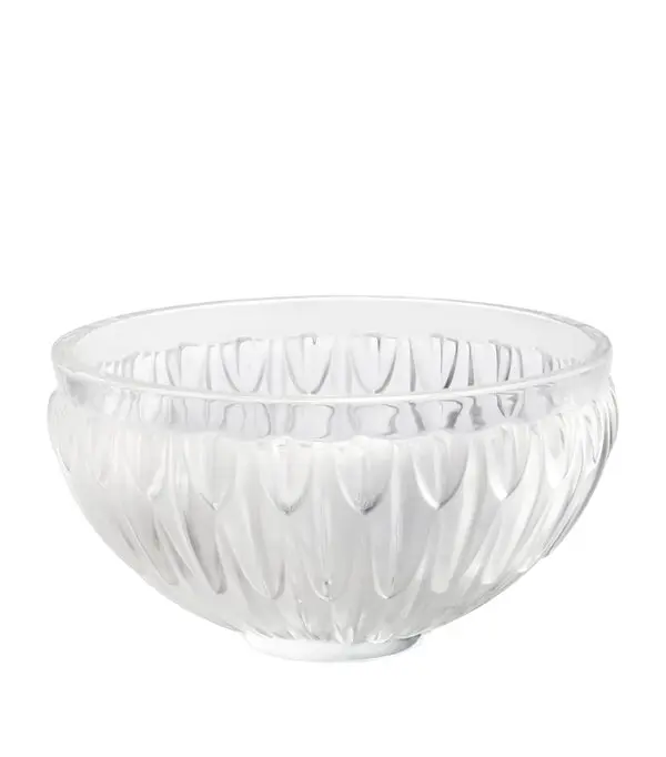 Lalique Crystal Plumes Bowl - Clear