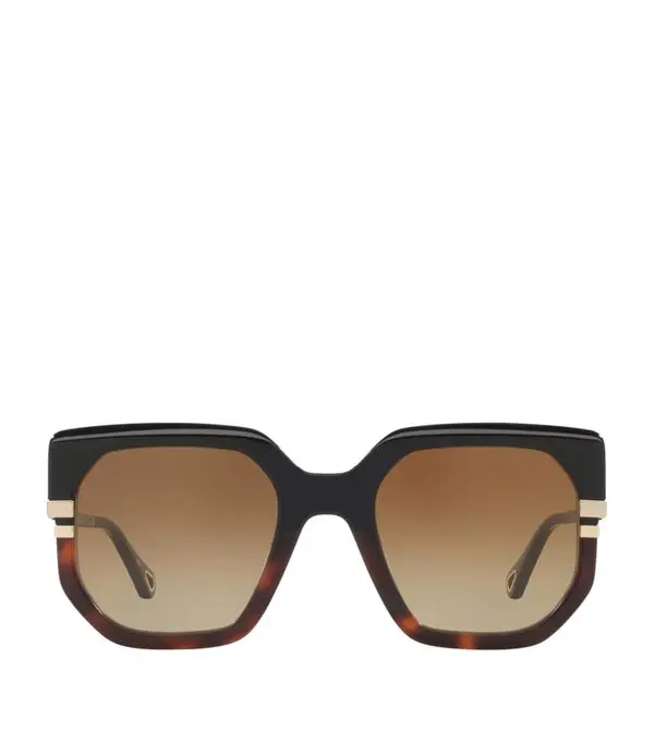 Chloé Ch0240s Metal Sunglasses - Black