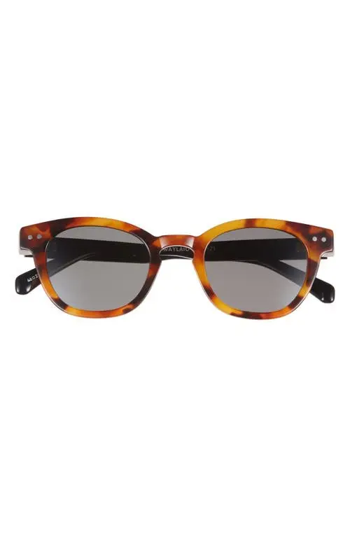 Eyebobs Waylaid Polarized Round Sunglasses - Tortoise