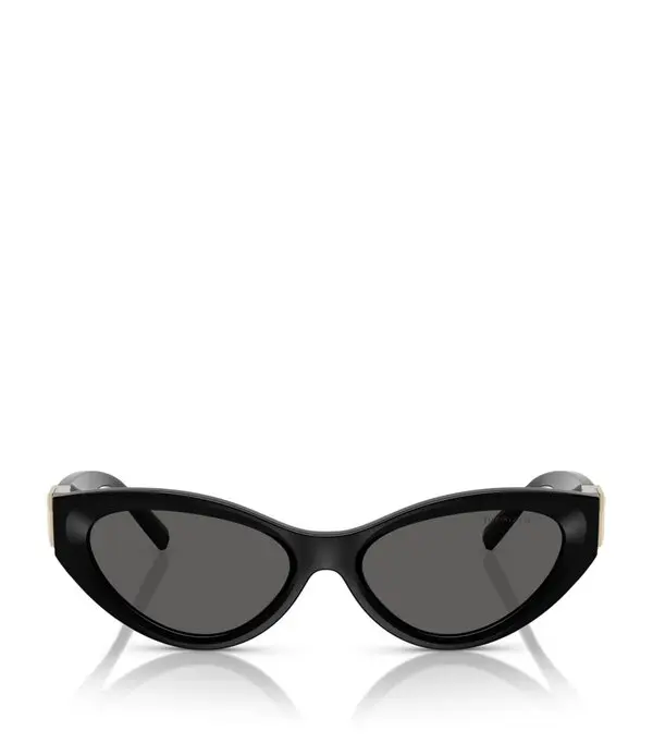 Tiffany & Co. Acetate Cat-eye Sunglasses - Black