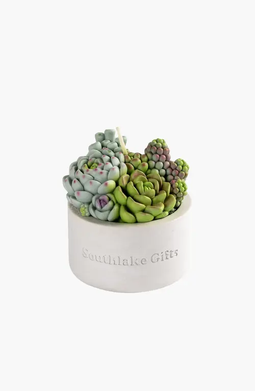 SOUTHLAKE GIFTS Assorted Succulent Candle With Concrete Vessel - Jade/lilac/sage