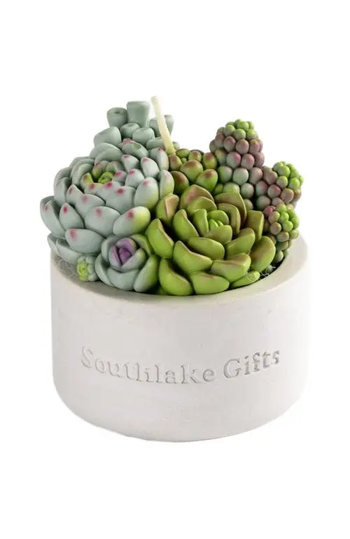 SOUTHLAKE GIFTS Succulent Candle In Concrete Vessel - Jade/lilac/sage