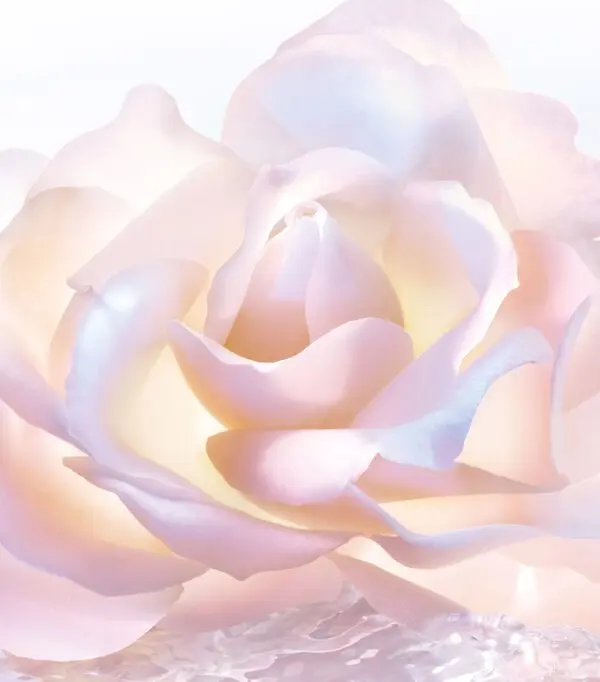 Dior Prestige L’oléo-essence Lumière - White