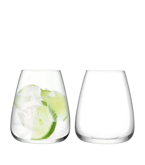 LSA INTERNATIONAL Set Of 2 Wine Culture Water Glasses - Clear