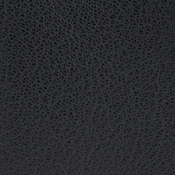 ANYA HINDMARCH Leather Eyes Passport Cover