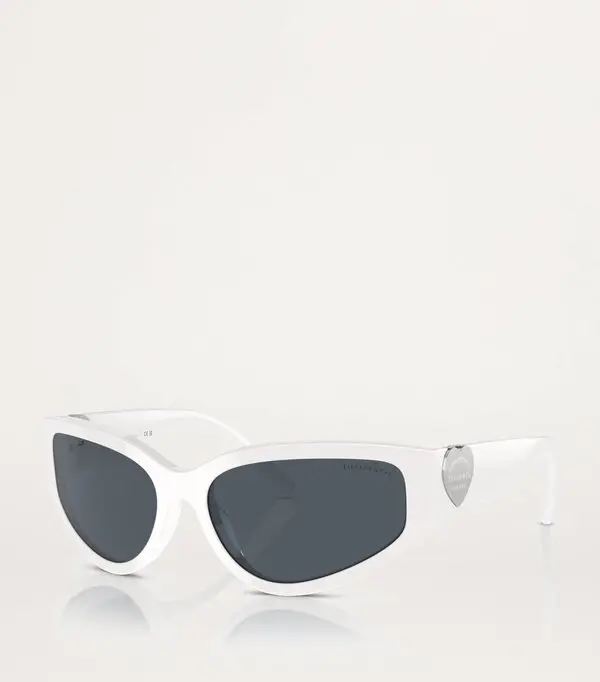 Tiffany & Co. Acetate Oval Sunglasses