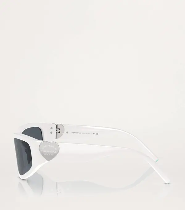 Tiffany & Co. Acetate Oval Sunglasses