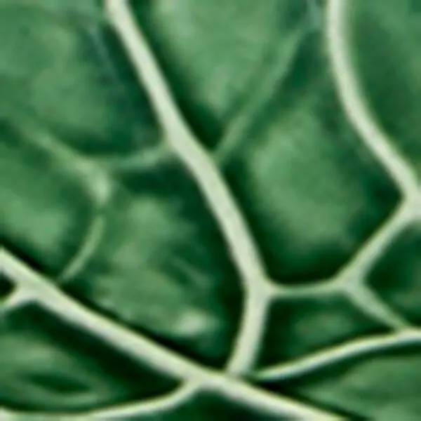 BORDALLO PINHEIRO Cabbage Serving Bowl