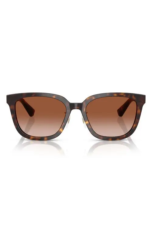 Burberry 57mm Square Sunglasses - Dark Havana