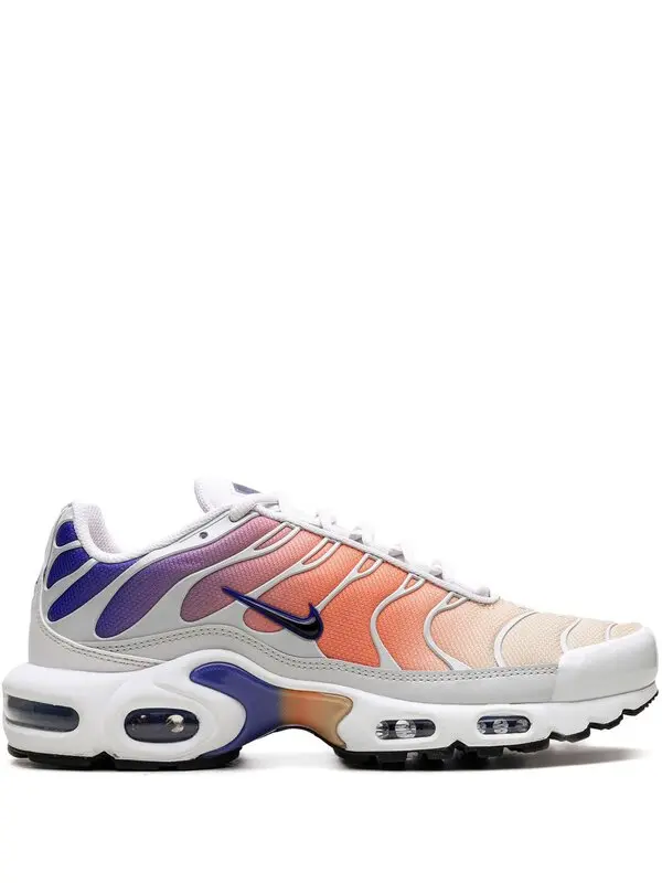 Nike Air Max Plus Sneakers