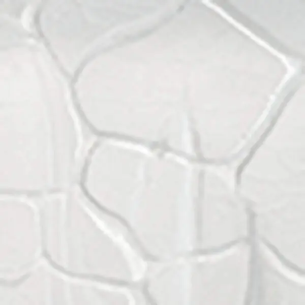 Lalique Le Bain De Cristal Sculpture