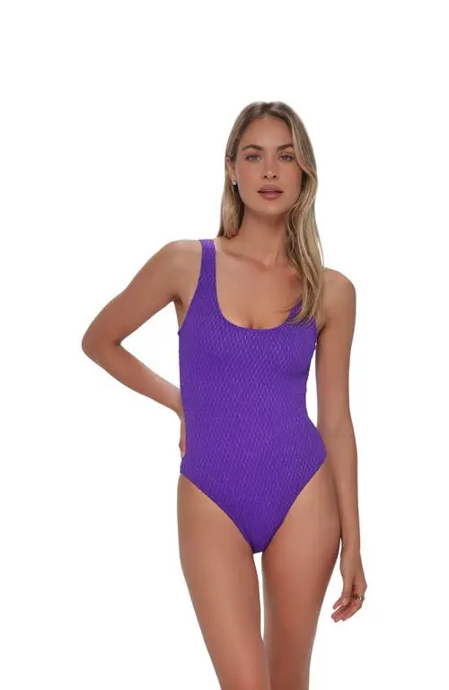 PACIFICA BY SUNSETS Fiona One-piece Swimsuit - Purple Gem Lurex