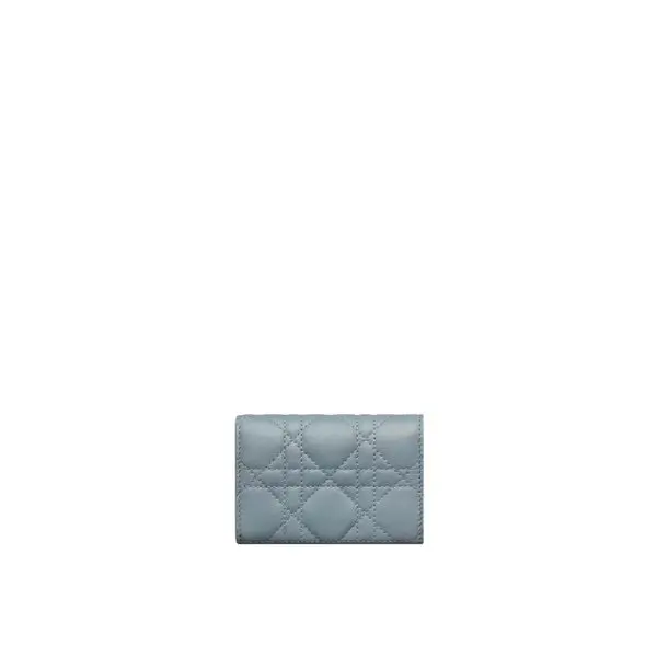 Dior Caro Xs Wallet