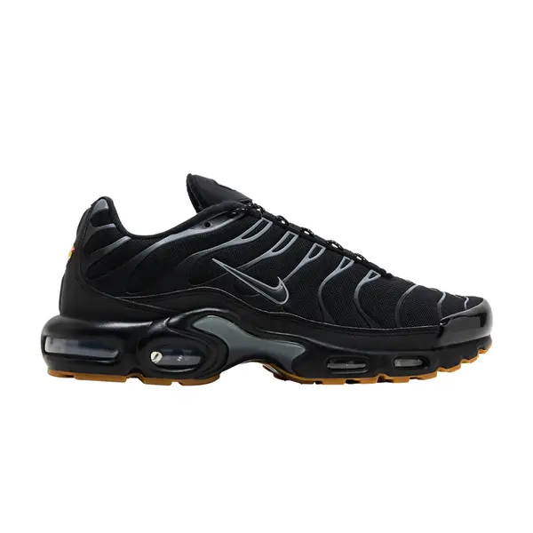 Nike Air Max Plus Sneakers - Black
