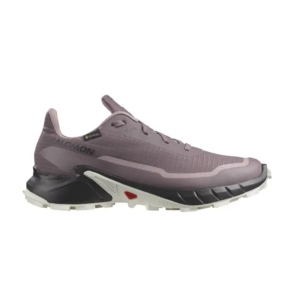 SALOMON Alphacross Gore-tex - Purple