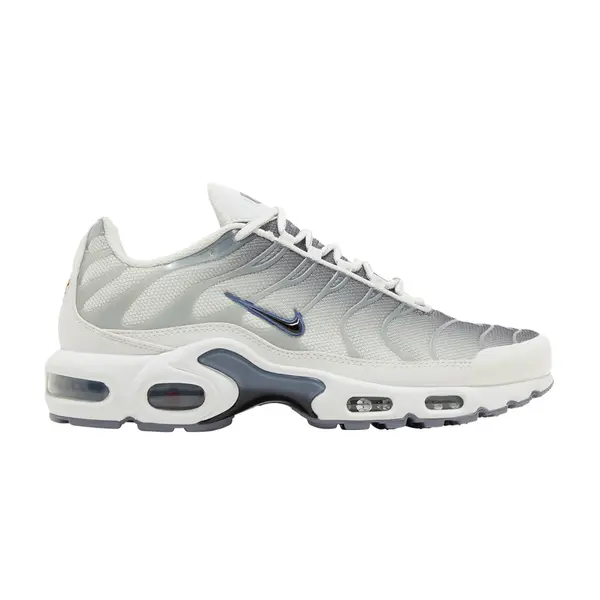 Nike Air Max Plus Sneakers - Grey