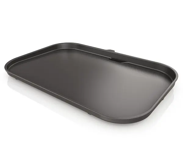 NINJA Woodfire Xl Pro Griddle Plate
