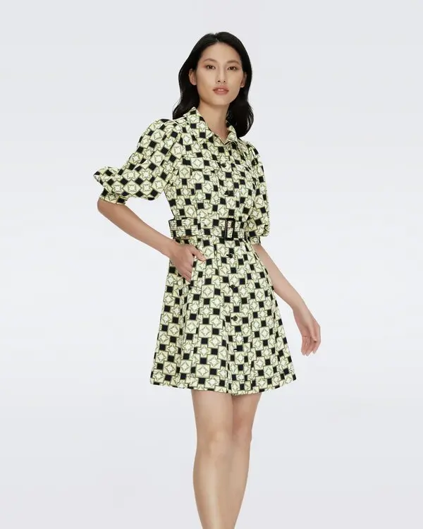 Diane Von Furstenberg Britney Belted Dress In Lotus Seed Green - 50% Off |  Editorialist