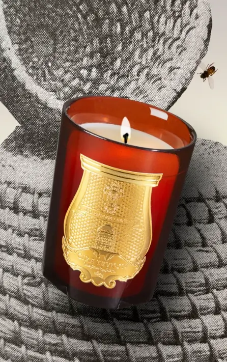TRUDON Cire Candle 270 - Beeswax Absolute