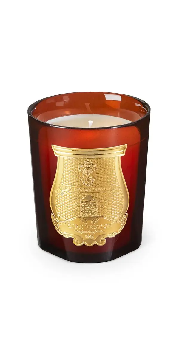TRUDON Cire Candle 270 - Beeswax Absolute