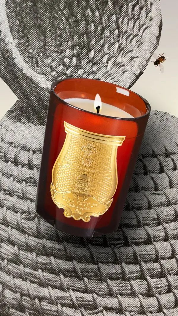 TRUDON Cire Candle 270 - Beeswax Absolute
