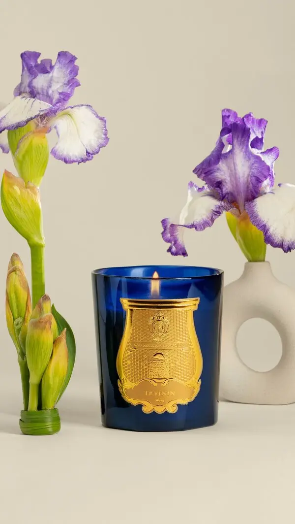 TRUDON Ourika Candle 270 - Iris