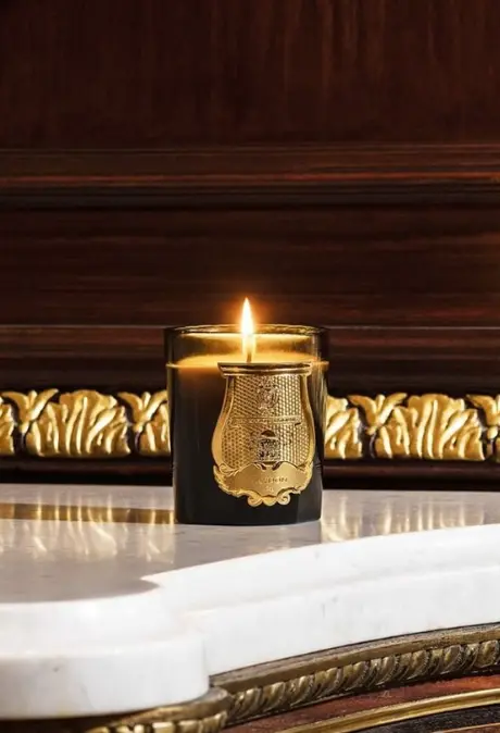 TRUDON Gabriel Candle 270 - Gourmand Chimney Fire