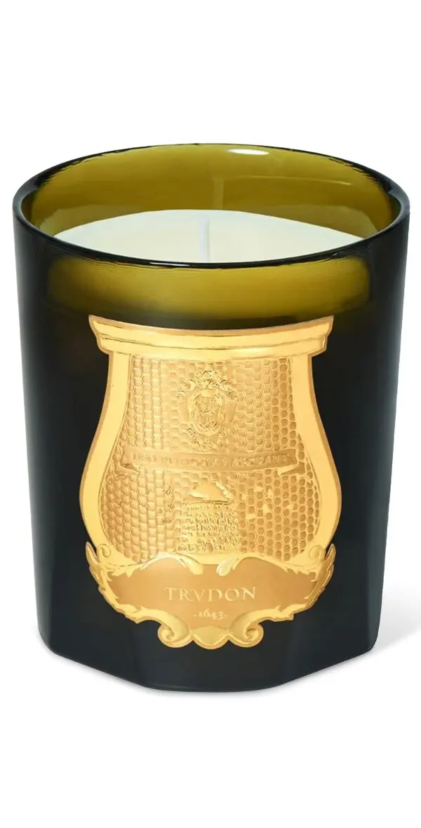 TRUDON Gabriel Candle 270 - Gourmand Chimney Fire
