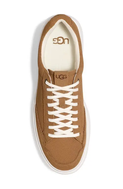 UGG South Bay Low Sneaker - Chestnut