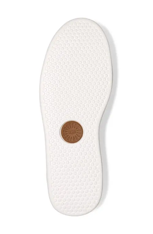 UGG South Bay Low Sneaker - Chestnut