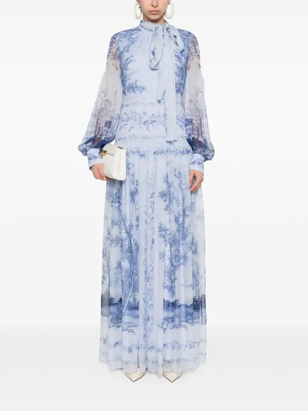 Erdem Graphic-print Silk Voile Gown