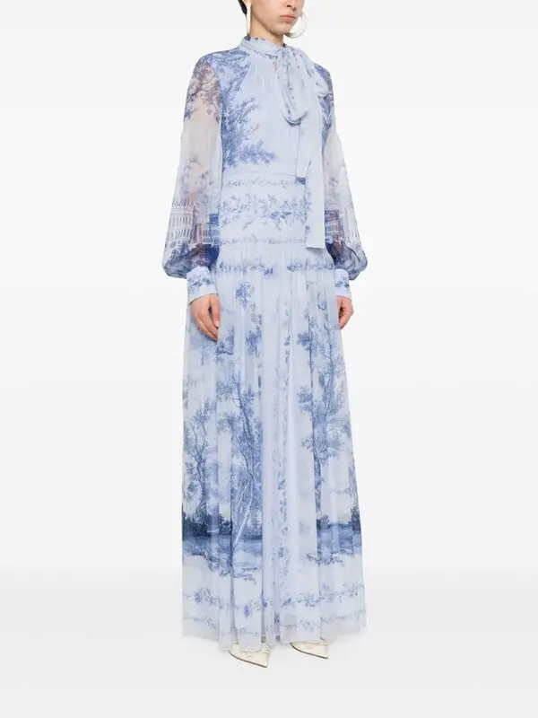 Erdem Graphic-print Silk Voile Gown