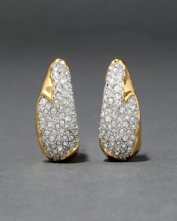 Alexis Bittar Solanales Crystal Hoop Earrings
