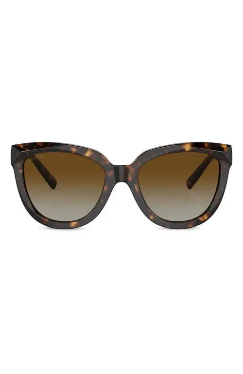 Tiffany & Co. 53mm Gradient Polarized Cat Eye Sunglasses - Havana