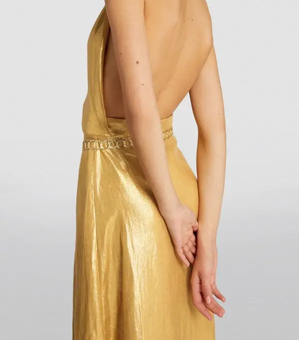 Zeus+Dione Metallic-Linen Helios Dress In Gold - 55% Off | Editorialist