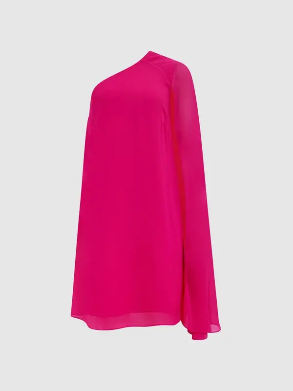 REISS Fleur Sheer Cape Sleeve Mini Dress