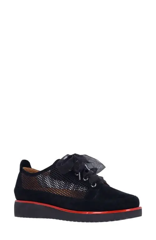 L'AMOUR DES PIEDS Zafira Derby - Black