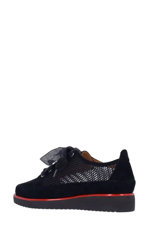 L'AMOUR DES PIEDS Zafira Derby - Black
