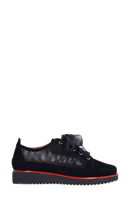 L'AMOUR DES PIEDS Zafira Derby - Black
